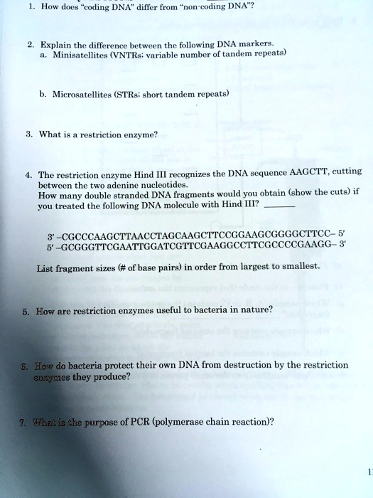 Solved How Dors Coding Dna Diller From Non Coding Dna Explain The Difference Between The