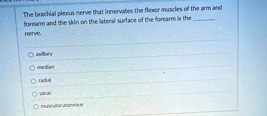 the brachial plexus nerve that innervates the flexor muscles of the arm ...