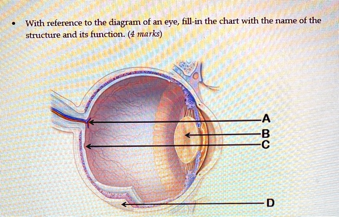 SOLVED: With reference to the diagram of an eye, fill-in the chart with ...