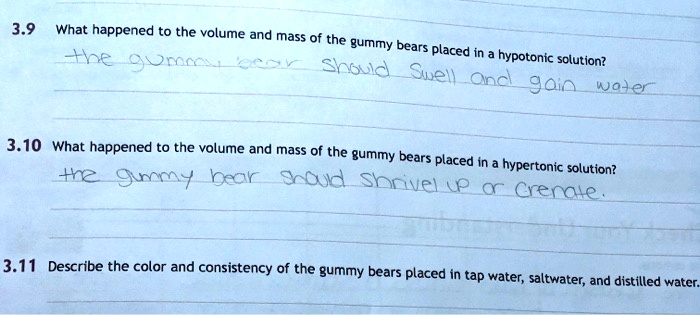 3.9 What happened to the volume and mass of the gummy bears placed in a ...