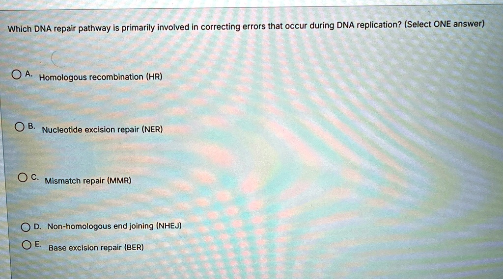 Which DNA repair pathway is primarily involved in correcting errors that occur during DNA ...
