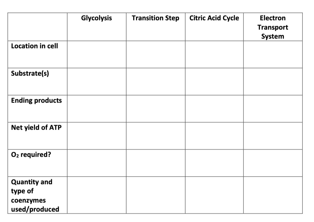 SOLVED: Glycolysis Transition Step Citric Acid Cycle Electron Transport ...
