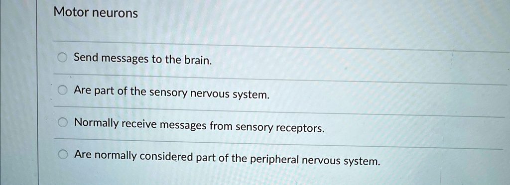 Motor neurons Send messages to the brain. Are part of the sensory ...