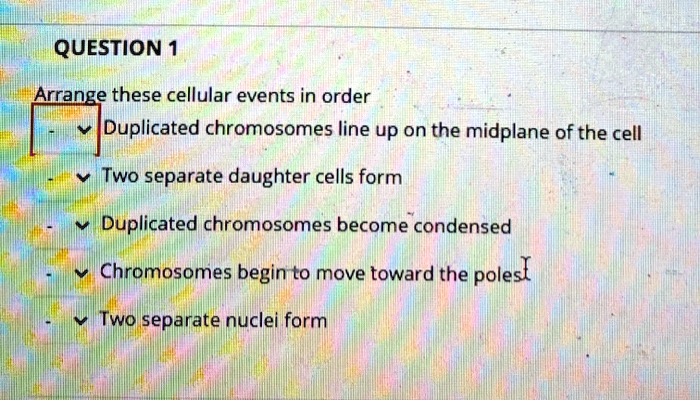 SOLVED: Arrange these cellular events in order: 1. Duplicated ...