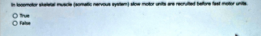 In locomotor skeletal muscle (somatic nervous system), slow motor units ...