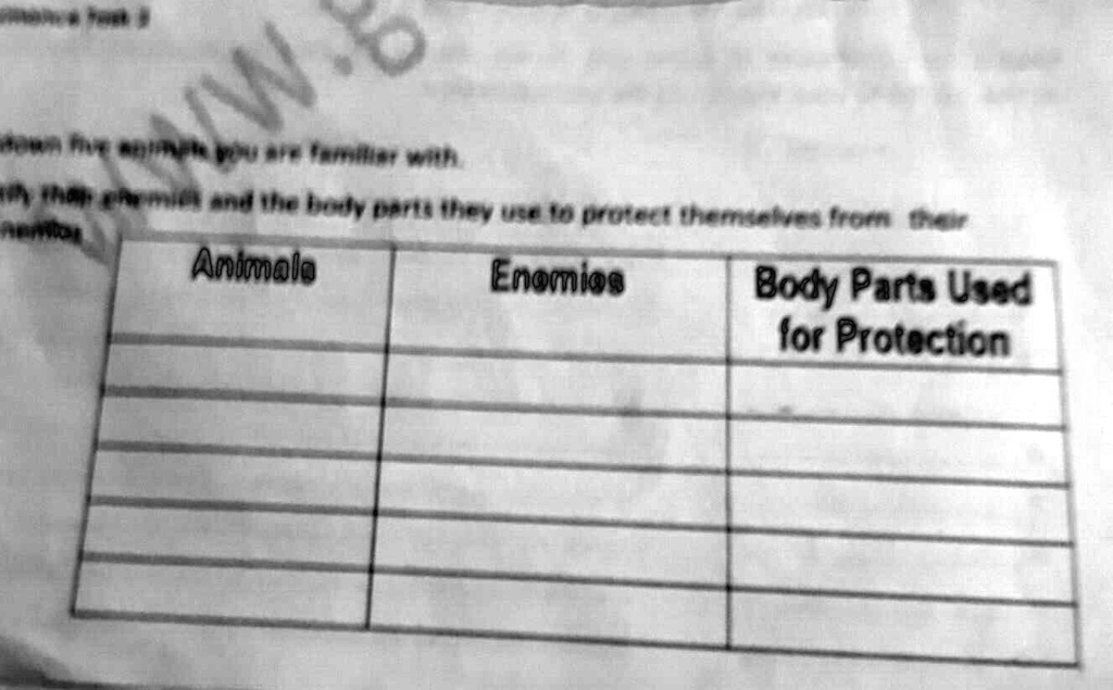 SOLVED: 1. List down five animals you are familiar with. 2. Identify ...