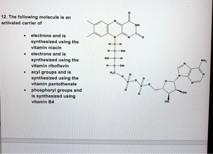 SOLVED: 12. The following molecule is an activated carrier of electrons ...