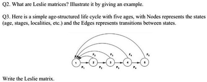SOLVED:02 What are Leslie matrices? Illustrate it by giving an example ...