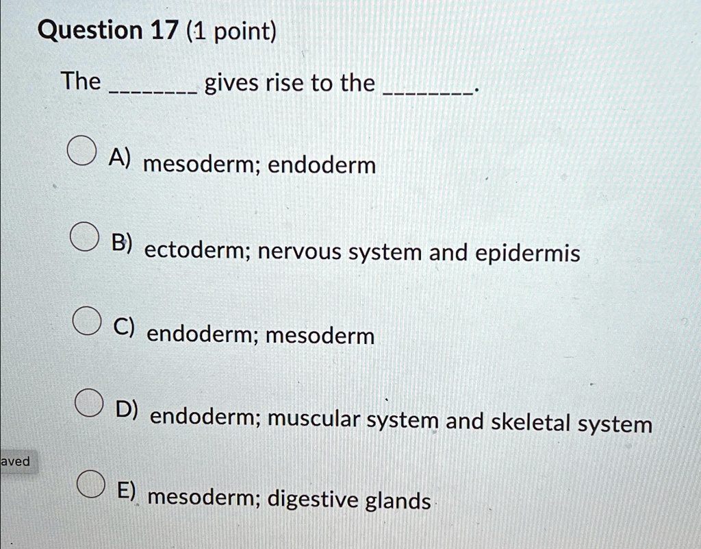 question 17 1 point the gives rise to the a mesoderm endoderm b ...
