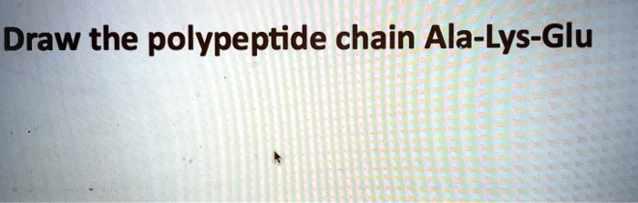 SOLVED: Draw the polypeptide chain Ala-Lys-Glu.