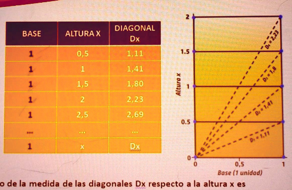 SOLVED: se construye en diferentes rectángulos de igual base y ...