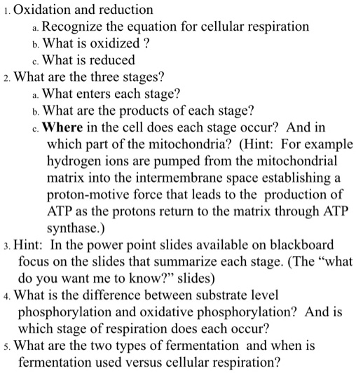 1oxidation and reduction recognize the equation for cellular ...