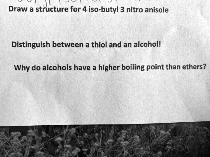 SOLVED: Draw a structure for 4 iso-butyl 3 nitro anisole Distinguish ...