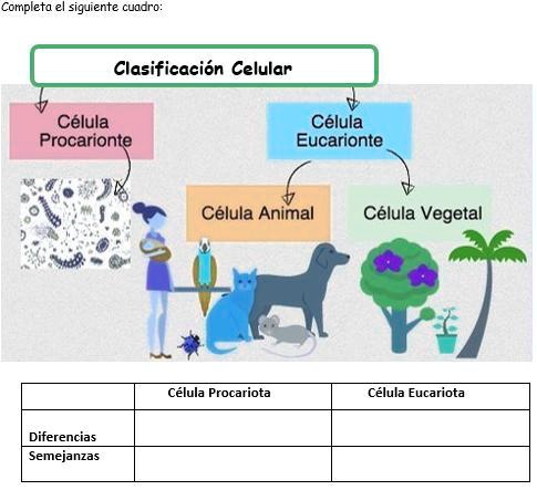 SOLVED: REGALO UNA CORONA AL QUE RESPONDA BIEN xd HOY POR MI MAÑANA POR ...