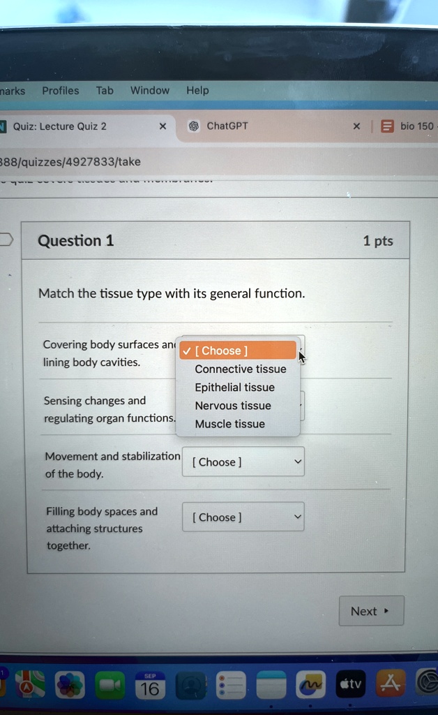 question 1 1 pts match the tissue type with its general function ...
