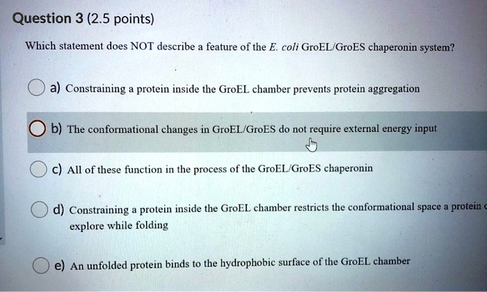 SOLVED: Question 3(2.5 points) Which statement does NOT describe a feature of the E. coli GroEL ...