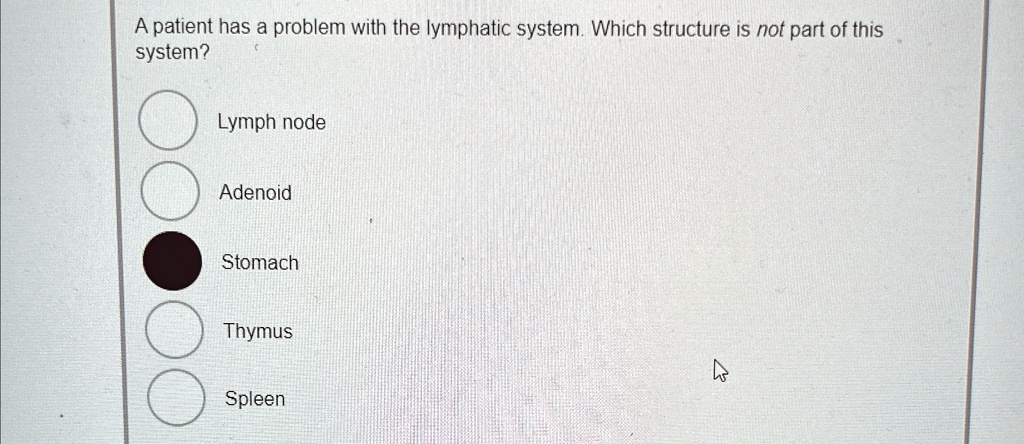 A patient has a problem with the lymphatic system. Which structure is ...