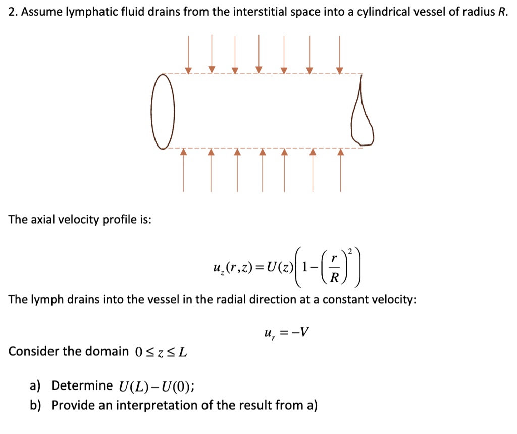 2 assume lymphatic fluid drains from the interstitial space into a ...