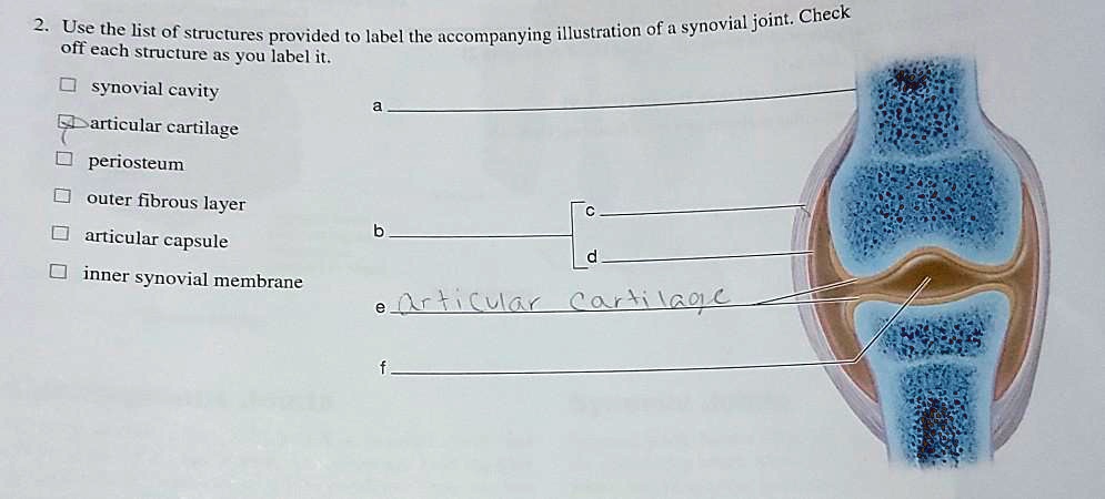2. Use the list of structures provided to label the accompanying ...