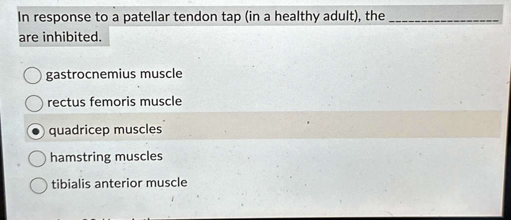 in response to a patellar tendon tap in a healthy adult the are ...