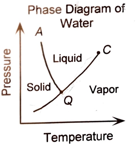 SOLVED: Phase Diagram of Water A Liquid L Solid Vapor Temperature