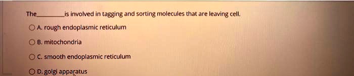 SOLVED: The is involved In tagging and sorting molecules that are ...