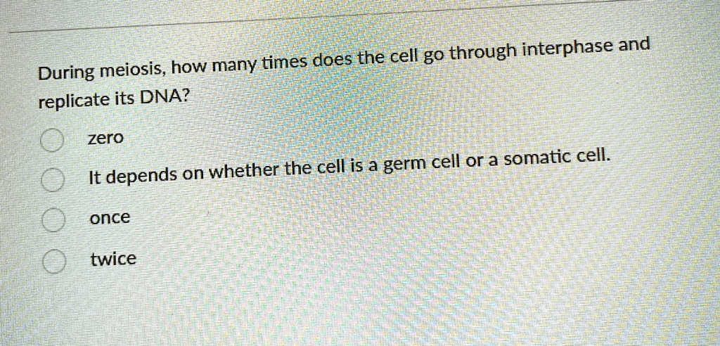 During meiosis, how many times does the cell go through interphase and ...