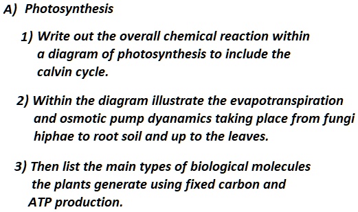 A) Photosynthesis 1) Write out the overall chemical reaction and ...