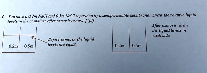 SOLVED: You have 0.2m NaCl and 0.Sm NaCl separated by semipermeable ...