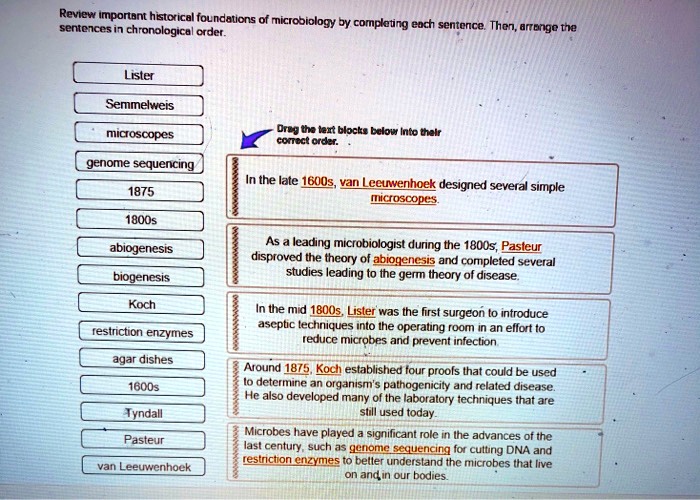 SOLVED: Text: Review important historical foundations of microbiology ...