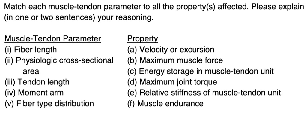 SOLVED: Text: Match each muscle-tendon parameter to all the properties ...