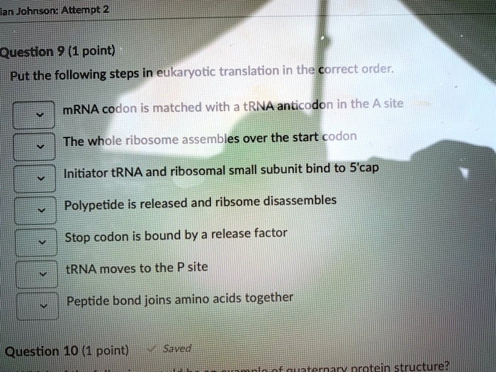 SOLVED: ian Johnson kademat 2 Questioni? (1 point) [PRuithe following steps in eukaryotic ...