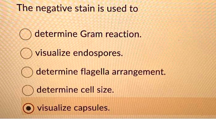 SOLVED: The negative stain is used to determine Gram reaction visualize ...