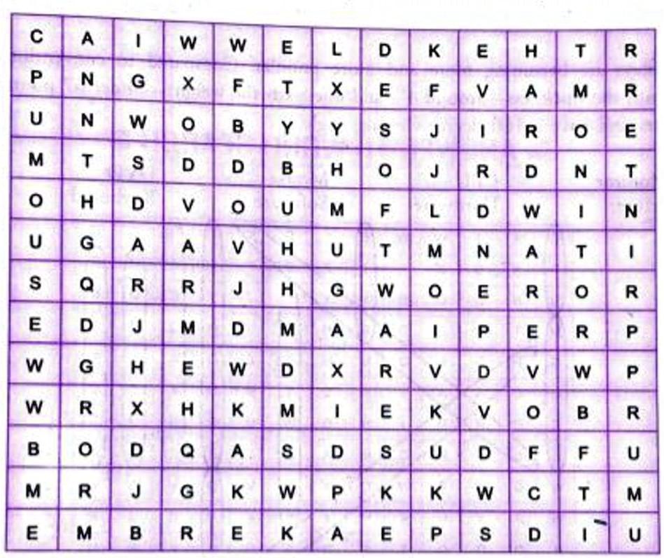 SOLVED: 'Name and identify different components of a computer system ...