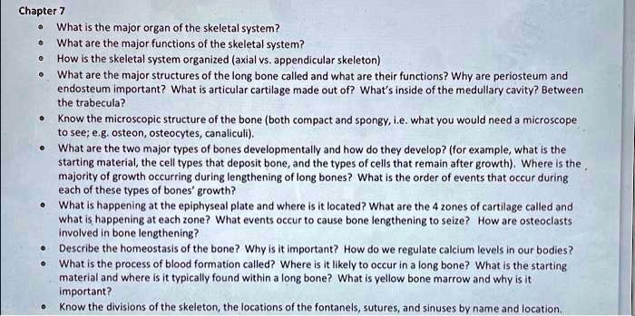 SOLVED: Chapter 7: The Skeletal System and Bone Growth What is the ...