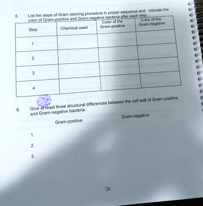 SOLVED: and indicate the List the steps of Gram slaining procedure in ...