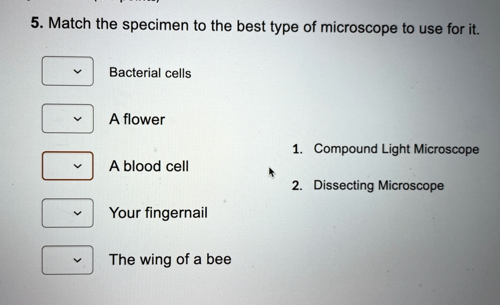 5 match the specimen to the best type of microscope to use for it ...
