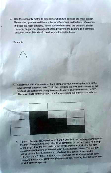 3. Use the similarity matrix to determine which two bacteria are most ...