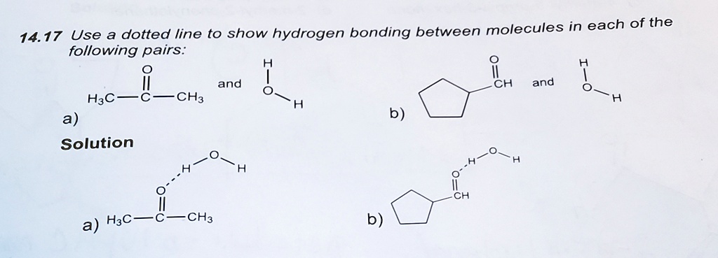 SOLVED: 17 Use a dotted line to show hydrogen bonding between molecules ...