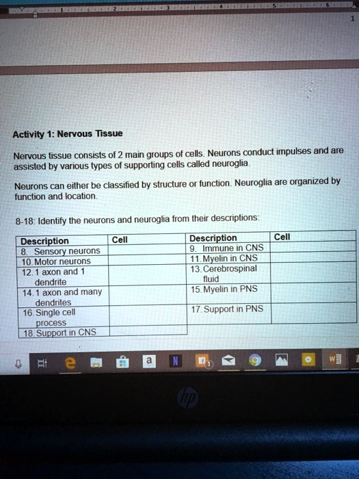 SOLVED: Activity 1: Nervous Tissue Nervous tissue consists of 2 main ... SOLVED: Activity 1: Nervous Tissue Nervous tissue consists of 2 main ...