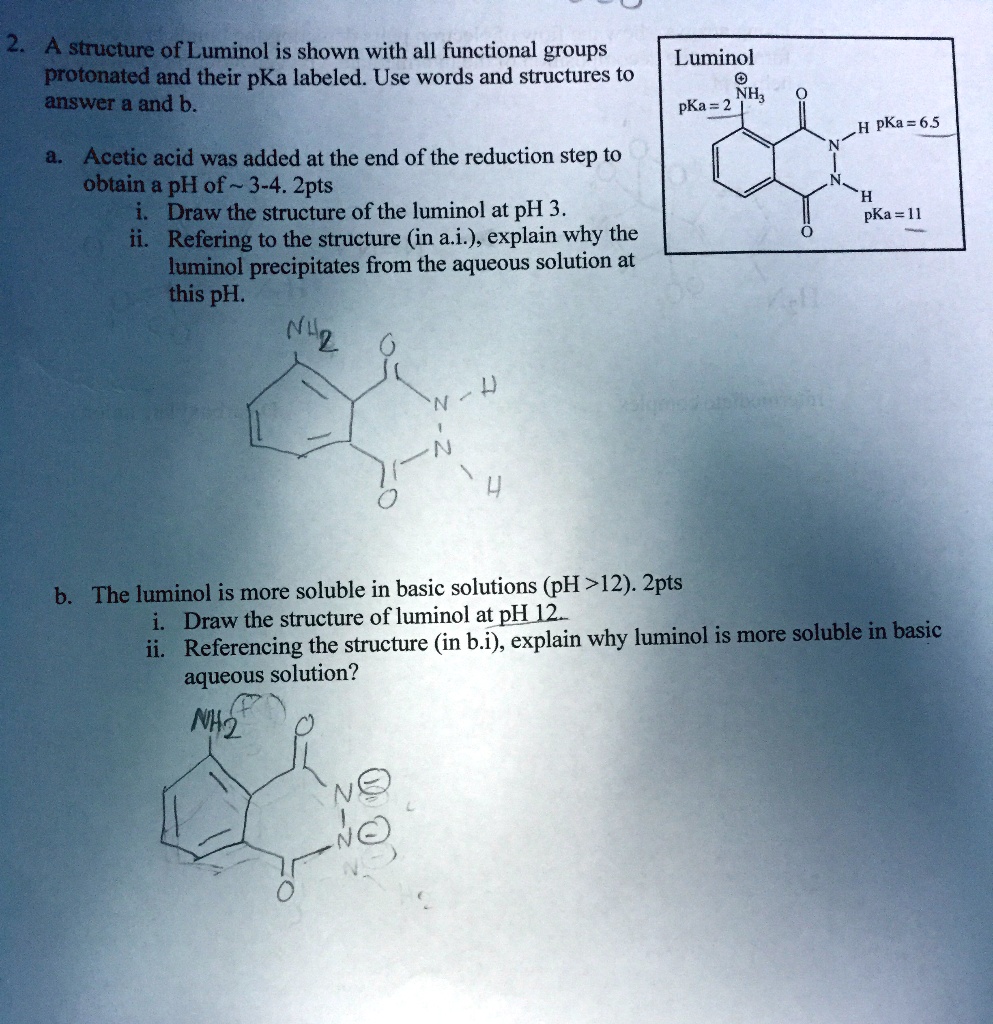 2 a structure of luminol is shown with all functional groups protonated ...