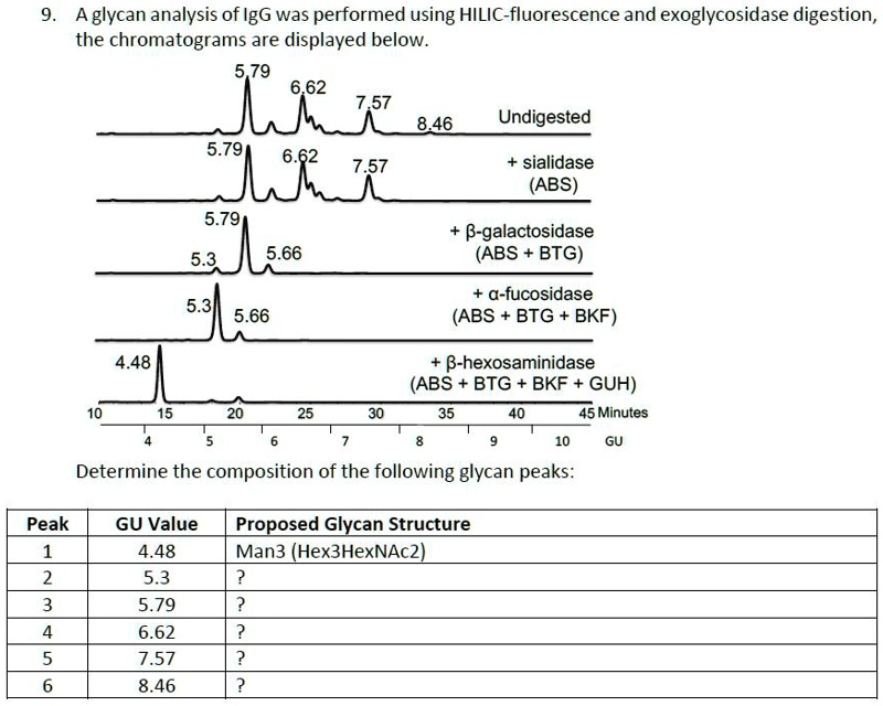 aglycan analysis of igg was performed using hilic fluorescence and ...