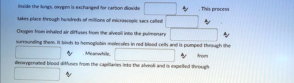 Inside the lungs oxygen is exchanged for carbon dioxide a...