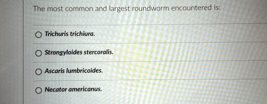 The most common and largest roundworm encountered is: Trichuris ...