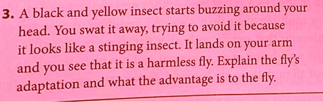 SOLVED: 3. A black and yellow insect starts buzzing around your head ...