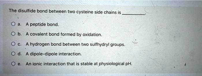 The disulfide bond between two cysteine side chains is Oa. A peptide ...