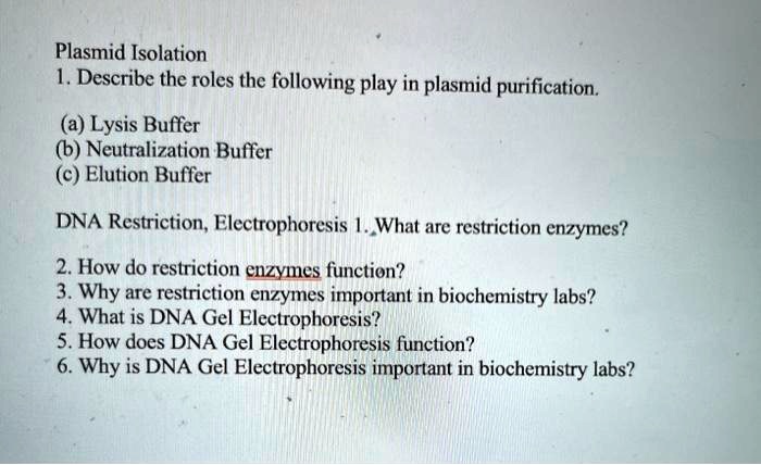 plasmid isolation describe the roles the following play in plasmid purification a lysis buffer b ...