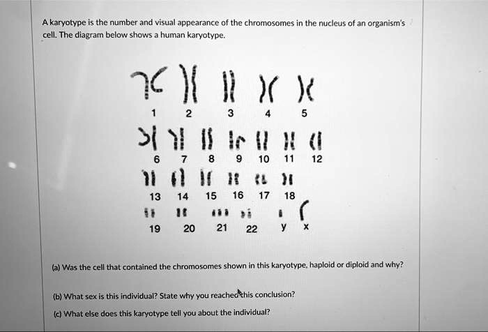 SOLVED: A karyotype is the number and visual appearance of the ...