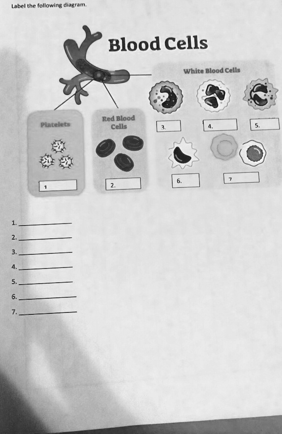 label the following diagram 1 2 white blood cells 3 red blood cells 4 ...
