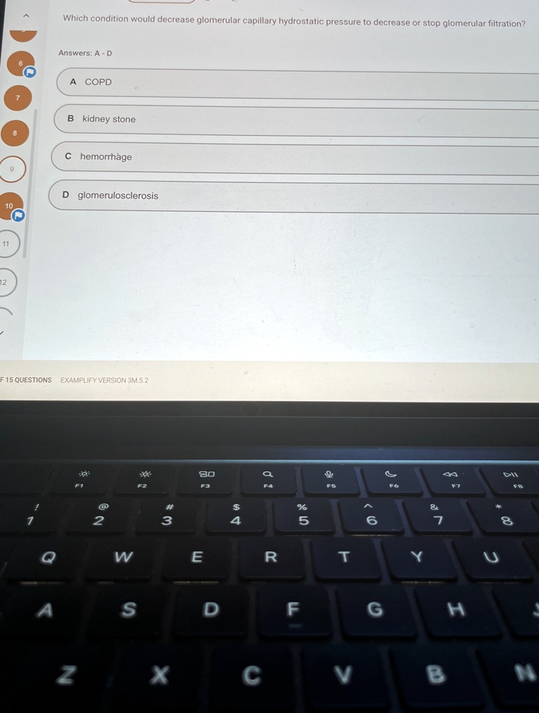 Which Condition Would Decrease Glomerular Capillary Hydrostatic Pressure To Decrease Or Stop